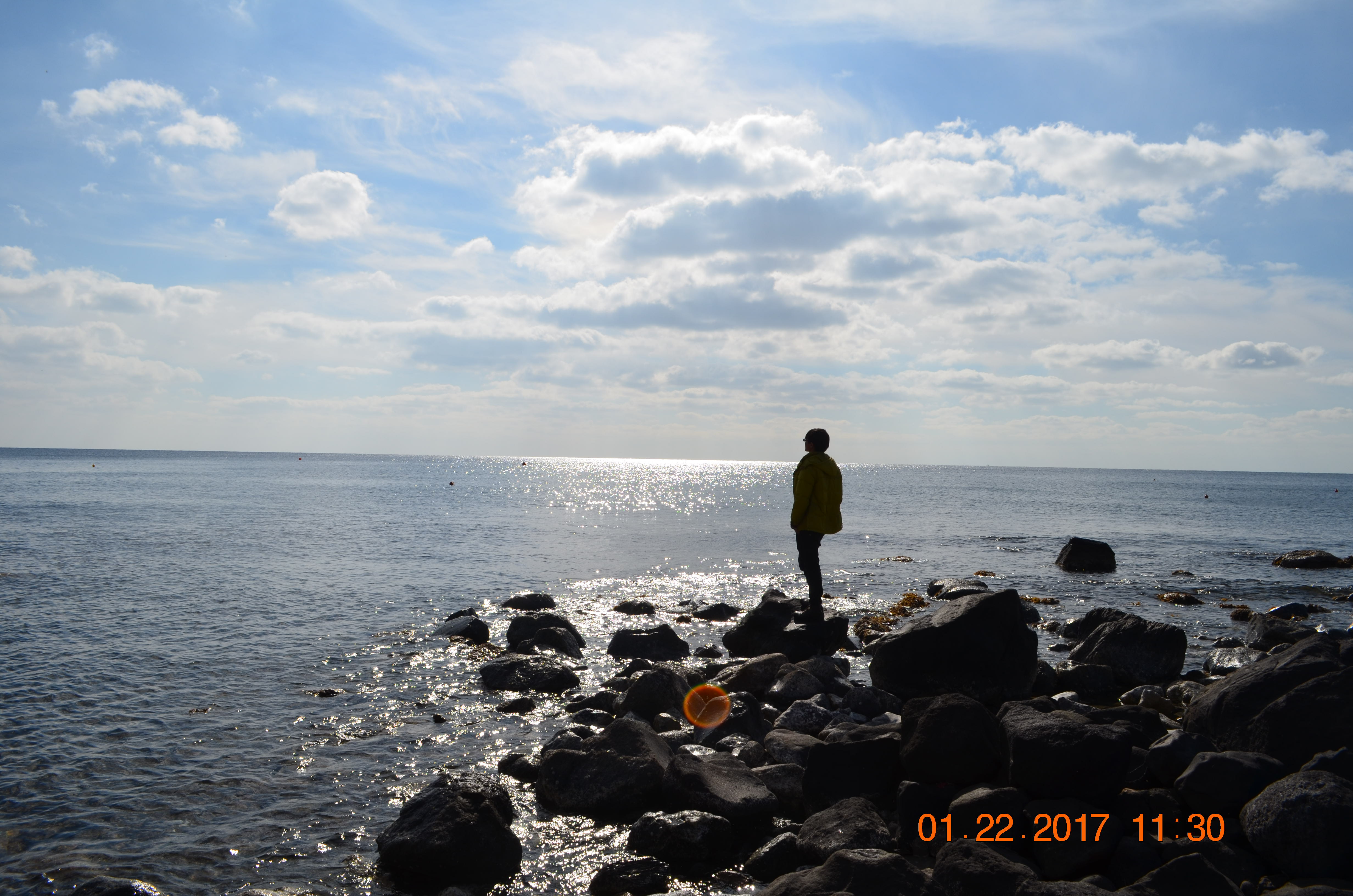 Low Wei Hong | Low Wei Hong